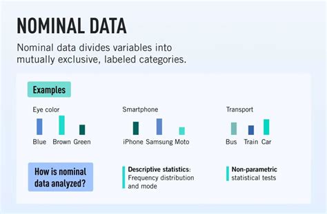 Nominal Variables Elucidated