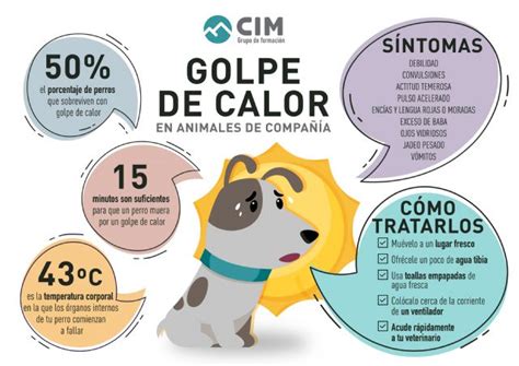 EMPRESA Cómo prevenir y actuar ante un golpe de calor en nuestro