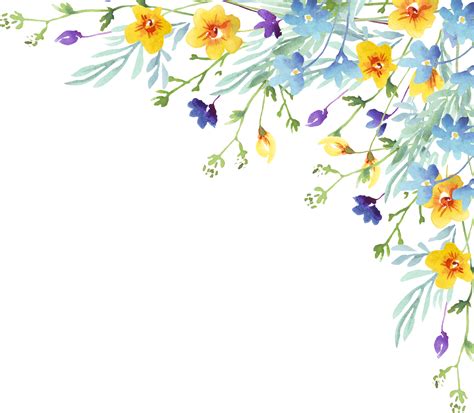 Flores Silvestres Marco Acuarela Clipart 22157120 PNG
