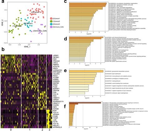 Seurat Marker Analysis Revealed Four Main Clusters In The Overall