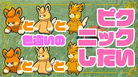 色粘り配信パモとパモットとパーモットと色違いのパモとパモットとパーモットとピクニックしたいポケモンスカーレット pokemon