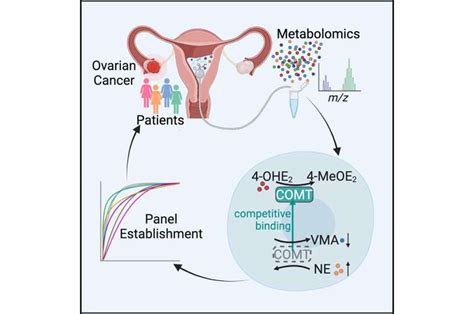 New Ovarian Cancer Screening Technique Shows Reduced False Negatives