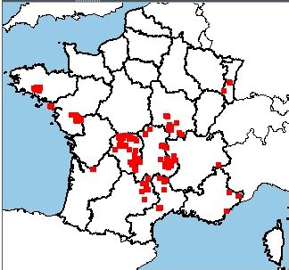 Arriba 33 Imagen Carte Des Anciennes Mines D Or En France Fr