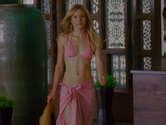 Forgetting Sarah Marshall Nude Scenes Aznude