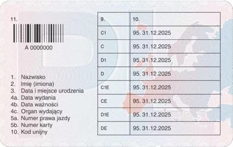Karta Kwalifikacji Kierowcy co to jest jak uzyskać TransUP eu