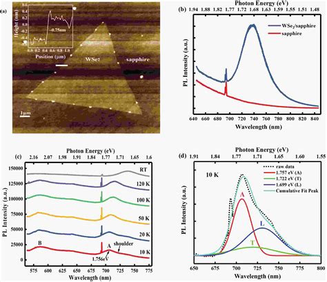 Valley Dynamics Of Different Excitonic States In Monolayer WSe 2 Grown