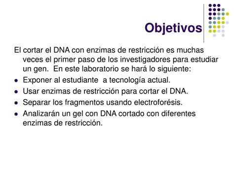 Ppt Digesti N De Dna Usando Enzimas De Restricci N Powerpoint