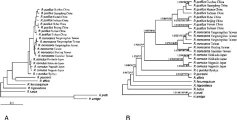 A Maximum Likelihood Tree Lnl With Branch Lengths Was