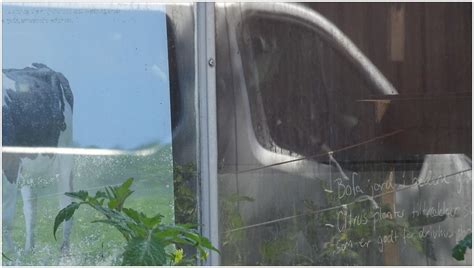 Collage Photo taken at the Plantagen Østermarievej Sva Flickr