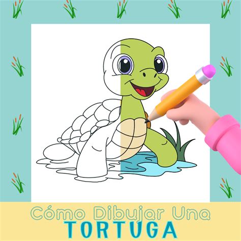 Cómo Dibujar Una Tortuga Paso a Paso Cómo Mimi Panda