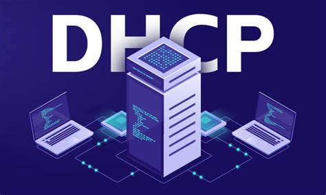 Что такое DHCP процесс взаимодействия и структура пакетов VSOL