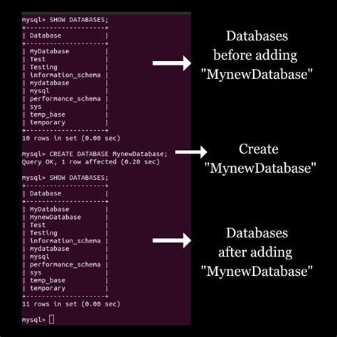 Rename Database In MySQL Coding Ninjas