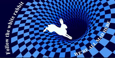 De L Autre C T Perch Avec Le Blanc Lapin Ce Qui Vous Attend Au
