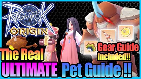 Real ULTIMATE PET Guide Gears With Tips Included Ragnarok Origin