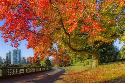 How To See Canada S Fall Foliage At Its Peak