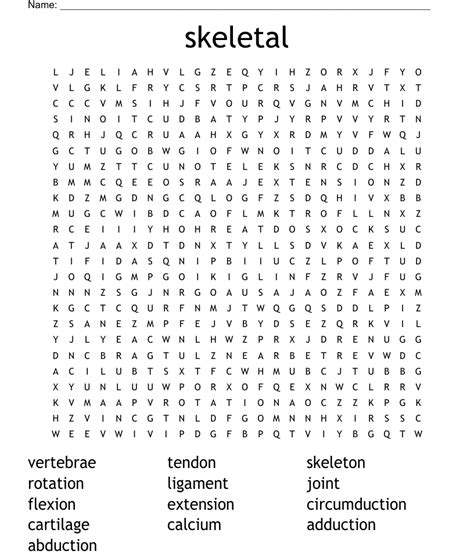 Skeletal System Word Search Puzzle