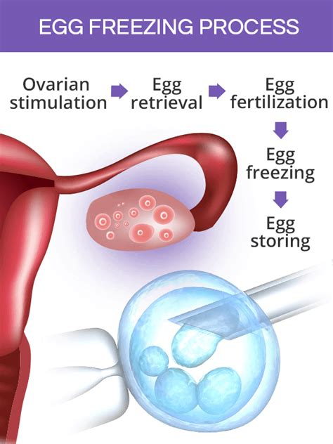 Freezing Eggs SheCares