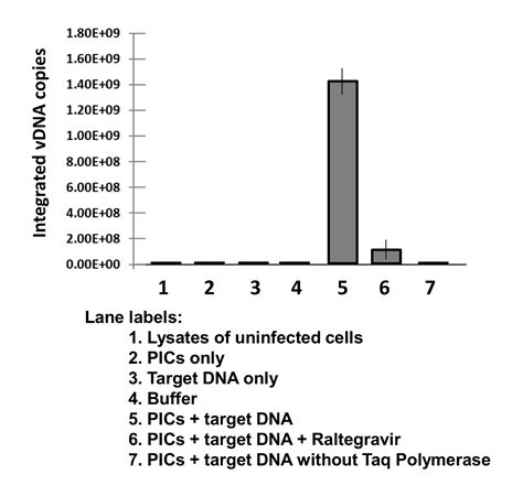 Measurement Of In Vitro Integration Activity Of Hiv Preintegration