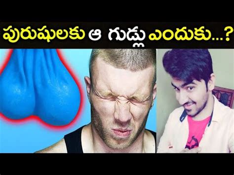 Interesting Facts About Testicles In Telugu