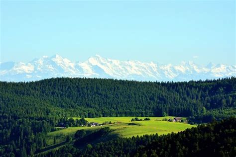 Rund um das Kloster St Trudpert Münstertal BERGFEX Wanderung