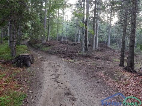 Sveti Trije kralji Žigartov vrh Slika 531535