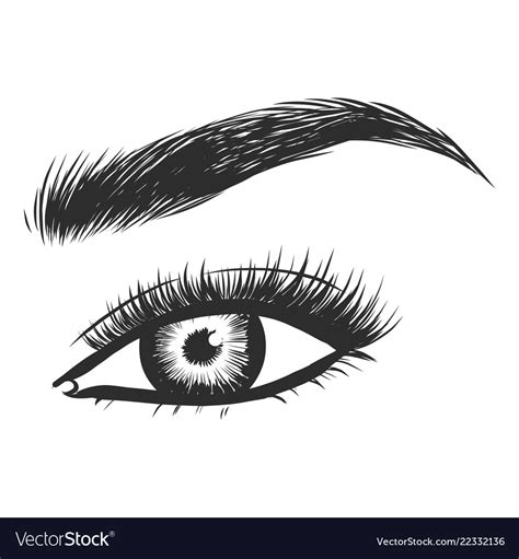 1188 Eyebrows Drawi PNG Image With Transparent Background 59 OFF