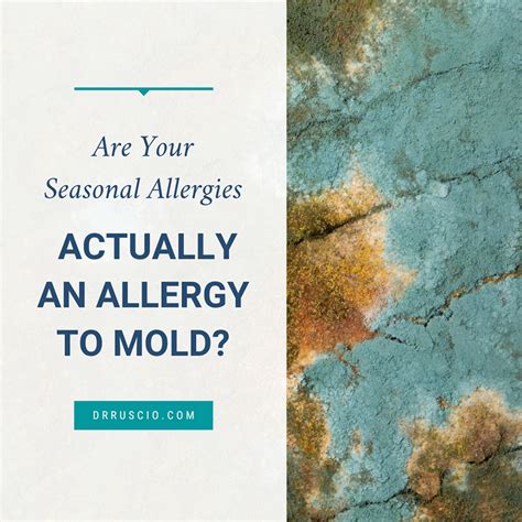 Are Your Seasonal Allergies Actually An Allergy To Mold Dr Michael