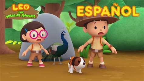 El Pavo Real de la India Español Leo El Explorador Episodio