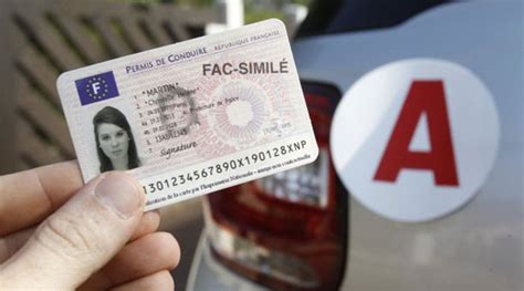 Notre Guide Sur Pourquoi Et Comment Faire Refaire Son Permis De Conduire