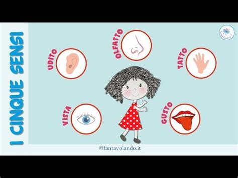 I Cinque Sensi Youtube Scienza Per Bambini Libri Di Scienze