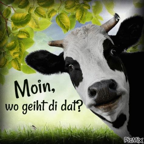 Pin von Annette Bothe Gudz auf Grußbilder Lustige guten morgen grüße