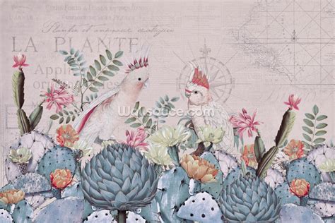 Andrea Haase Wall Murals Wallpapers Wallsauce US Mural Wallpaper