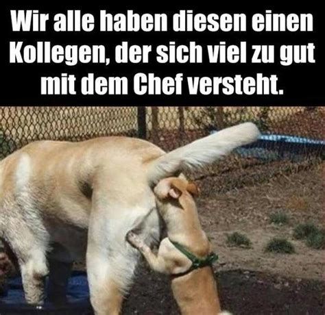 Pin By Tuure Paksuniemi On Periksi Ei Anneta New Funny Memes Funny