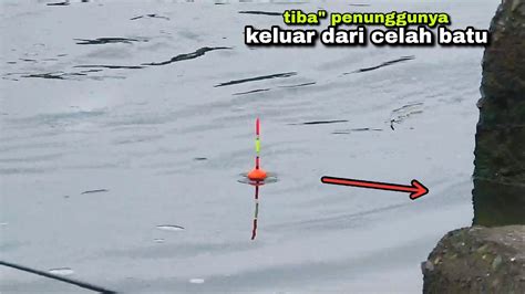 Rejeki Mancing Ikan Nila Di Sungai Bebatuan Umpan Ini Bikin