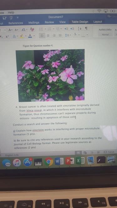 Solved Dow Help Document Out References Mailings Review Chegg
