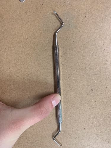 Dental Instruments Flashcards Quizlet