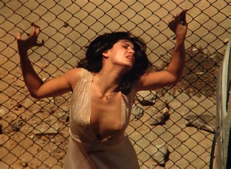 Watch Online Sonia Braga etc Lady on the Bus A Dama do Lotação