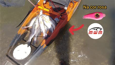 Acertamos O Dia Do Peixe Muita Pescada Amarela Robalo Camurim