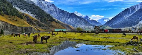 Pahalgam Jammu And Kashmir Authentic India Tours