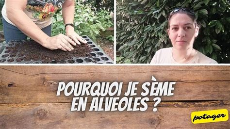 Semis de mâche pour le potager d hiver pourquoi je sème en