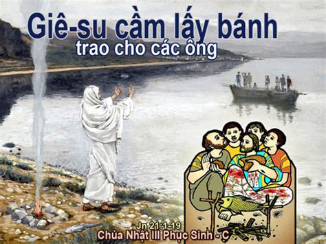 Ch A Nh T Iii Ph C Sinh N M C C C B I Suy Ni M Ch Gi I L I Ch A
