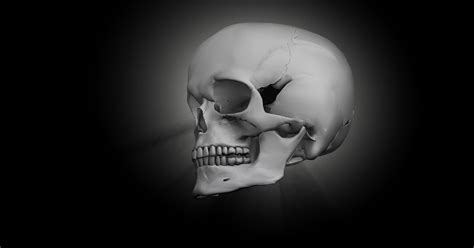 Cuánto tiempo tarda en sanar un injerto de hueso Clínica dental