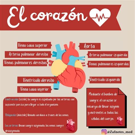 El corazón Yuleisy Roque Garcia uDocz