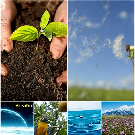 Un Vistazo Al Mundo Nuestra Realidad El Medio Ambiente Y Sus