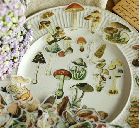 Vintage Mushroom Stickers Retro Mushroom Vellum Stickers Etsy
