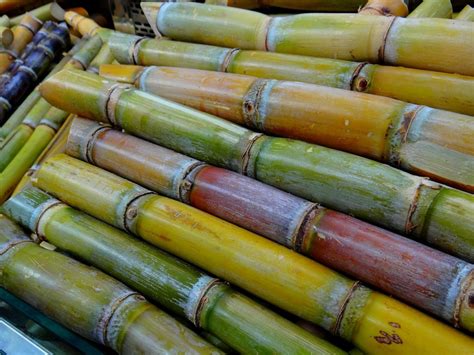 Moagem de cana no Centro Sul atinge 531 93 milhões de toneladas