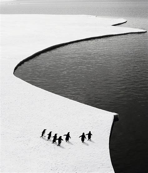 Incre Bles Fotograf As En Blanco Y Negro Que Te Dejar N Sin Aliento