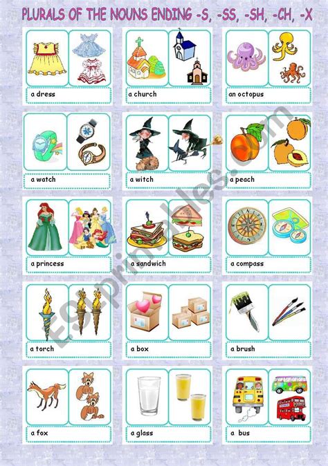Plural Nouns Ending In S Sh Ch X Worksheets