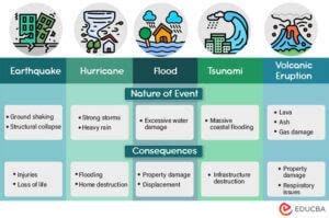 Natural Disasters Essay Words Types Causes Impact Educba
