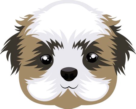 Shih Tzu Illustration Vector On White Background Pet Puppy Friend
